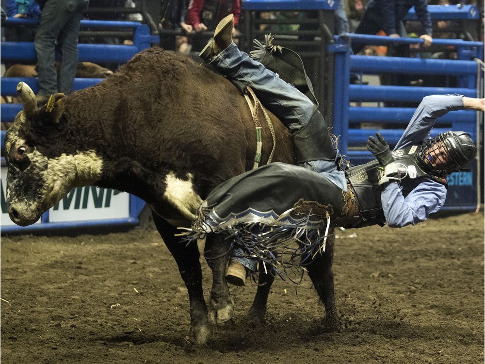 Agribition: Maple Leaf Finals Rodeo in photos | Regina Leader Post