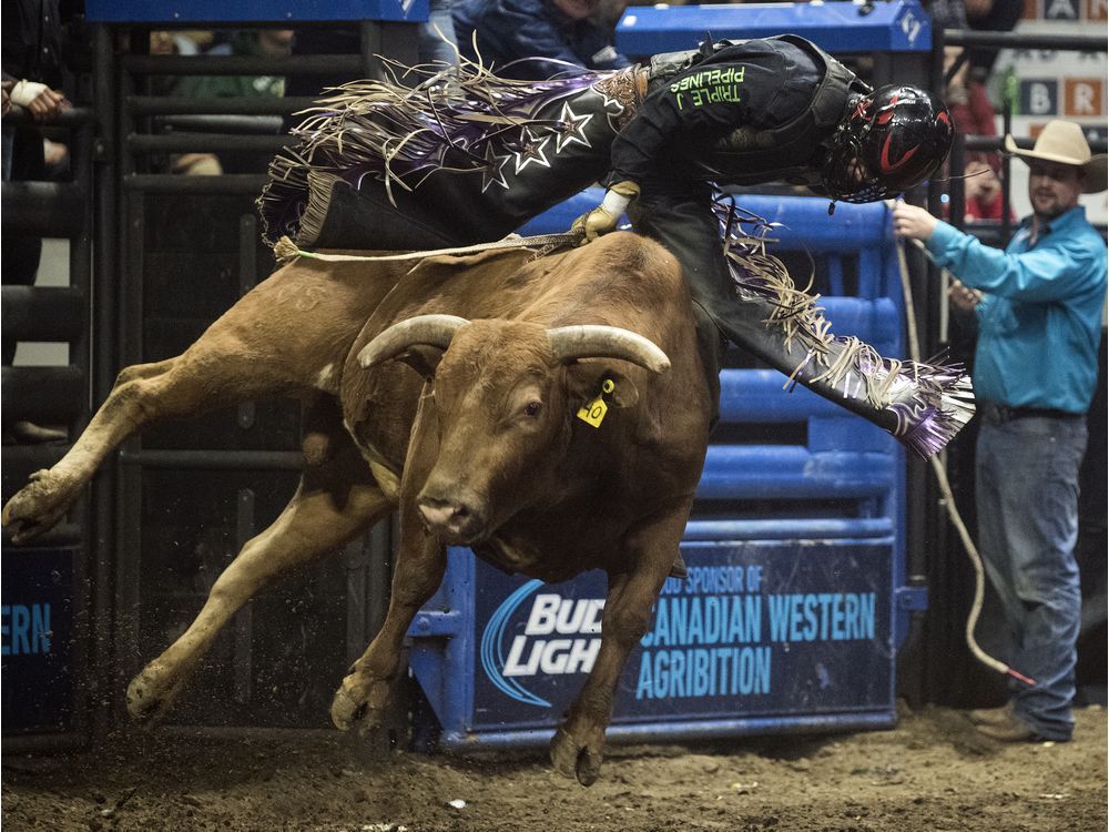 Agribition: Maple Leaf Finals Rodeo in photos | Regina Leader Post