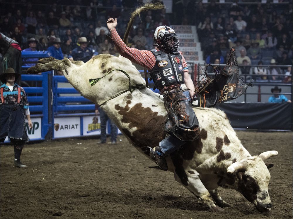 Agribition: Maple Leaf Finals Rodeo in photos | Regina Leader Post