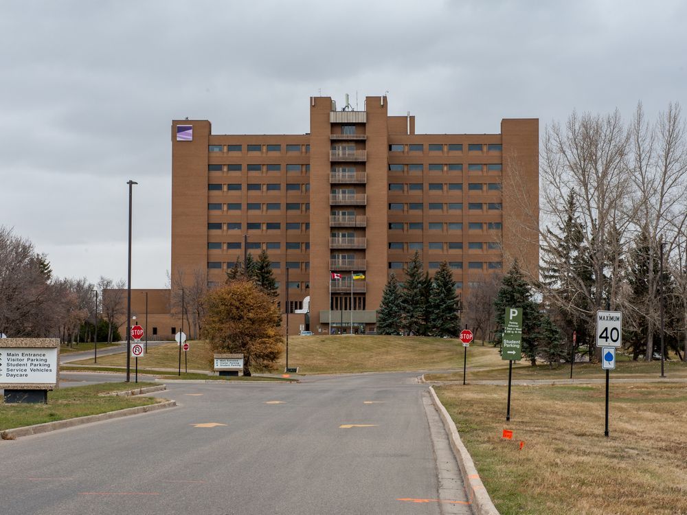 Opinion: Innovation, collaboration key to our collective success ...