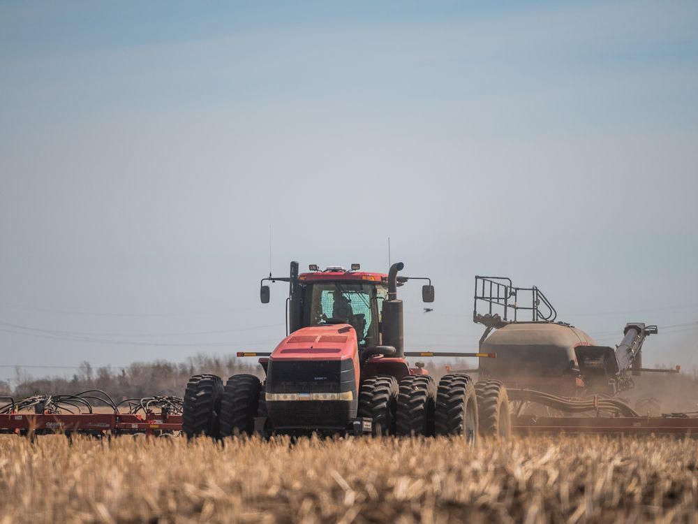 Seeding at an all time high, says latest crop report | Regina Leader Post