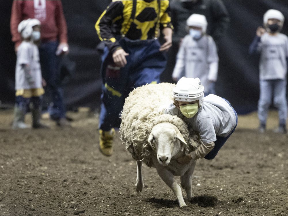 In photos: Off to the rodeo at Canadian Western Agribition | Regina ...