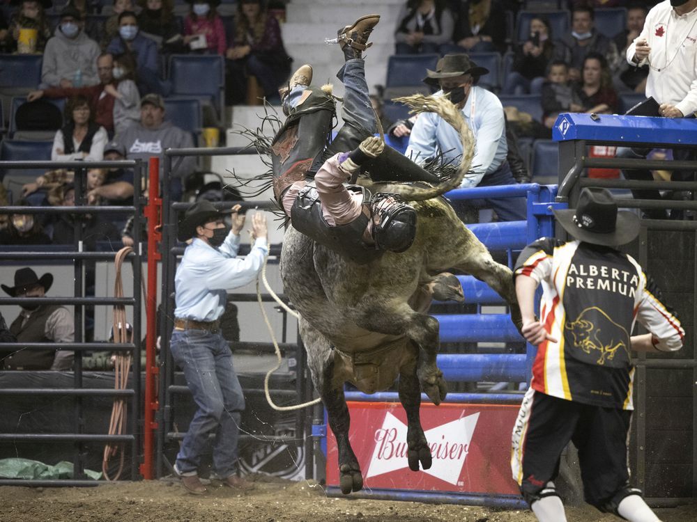 In photos: Off to the rodeo at Canadian Western Agribition | Regina ...