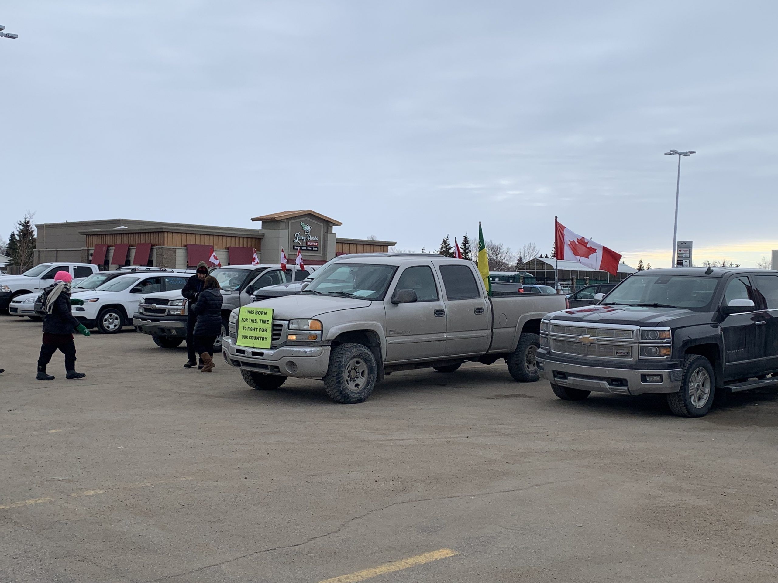 Protest convoys seen in Regina, Saskatoon | Regina Leader Post