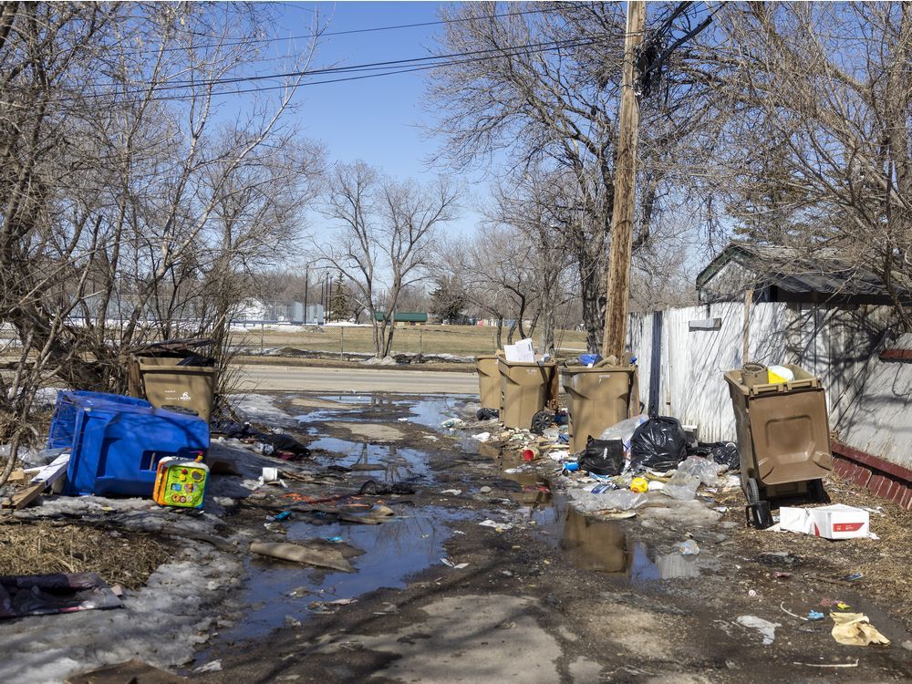 Some Regina residents eager for city to act on back alley litter ...