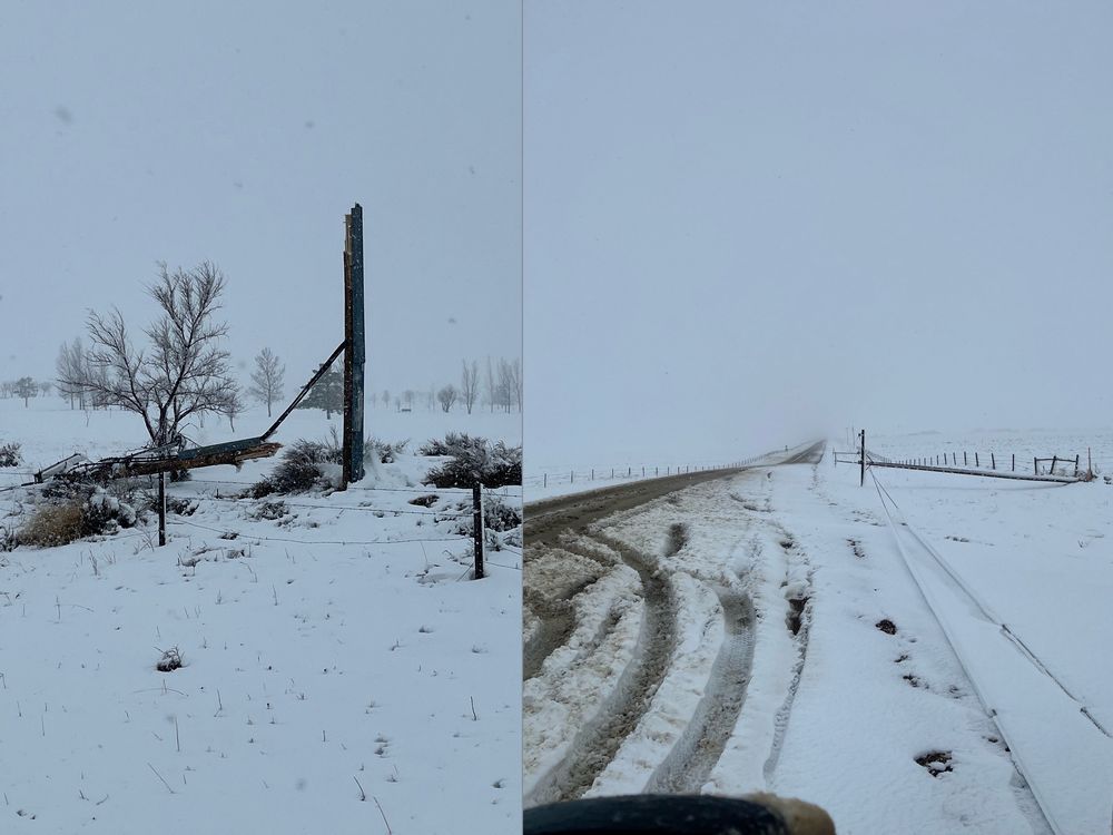 SaskPower to inspect 101,000 wooden power poles across province ...