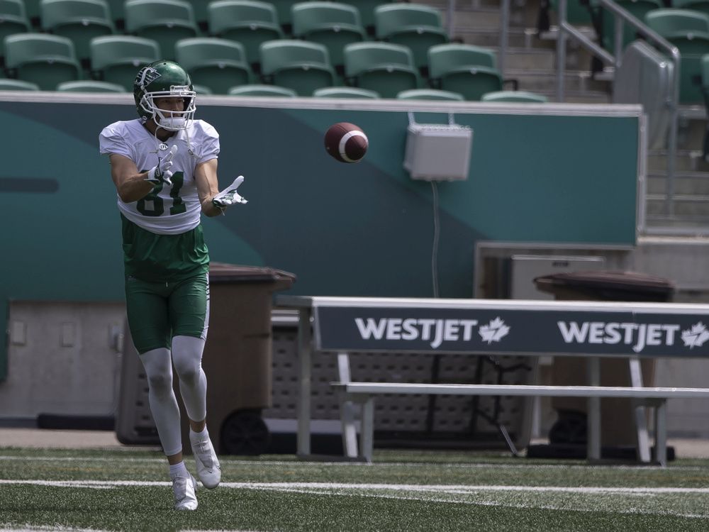 Mitchell Picton feels right at home with Saskatchewan Roughriders ...