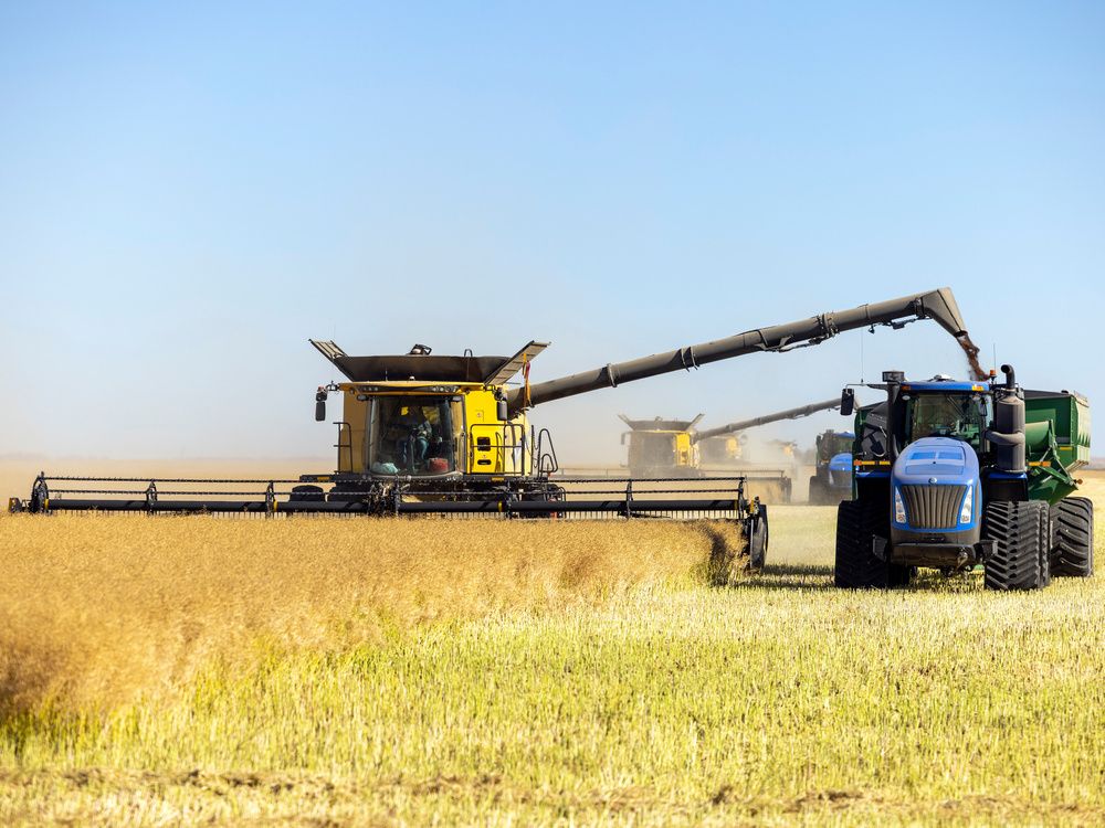 Sask. ahead of five-year average with 90 per cent of crop in the bin ... Sask. ahead of five-year average with 90 per cent of crop in the bin ...