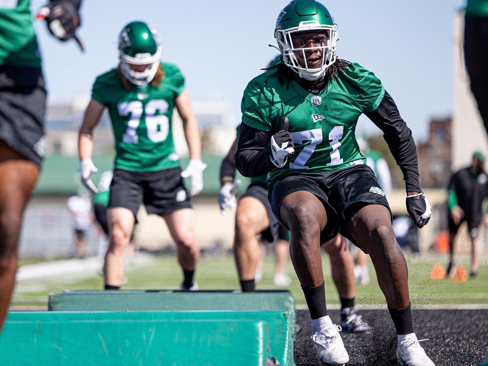Roughriders re-sign national linebacker Bringi | Regina Leader Post