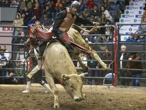 In pictures: Thrills and spills fill Brandt Centre for Pro Rodeo ...