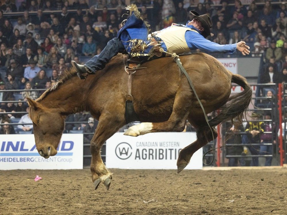 In pictures: Thrills and spills fill Brandt Centre for Pro Rodeo ...
