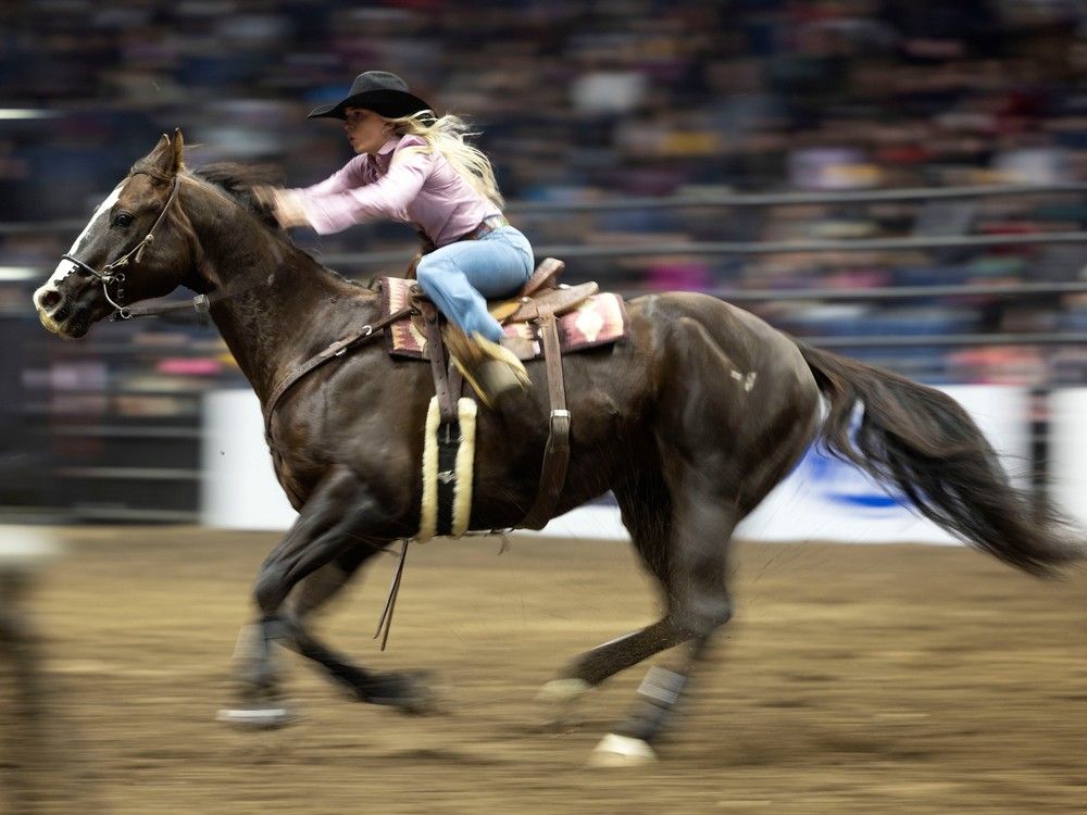 In pictures: Thrills and spills fill Brandt Centre for Pro Rodeo ...