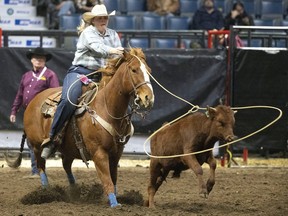 In pictures: Thrills and spills fill Brandt Centre for Pro Rodeo ...