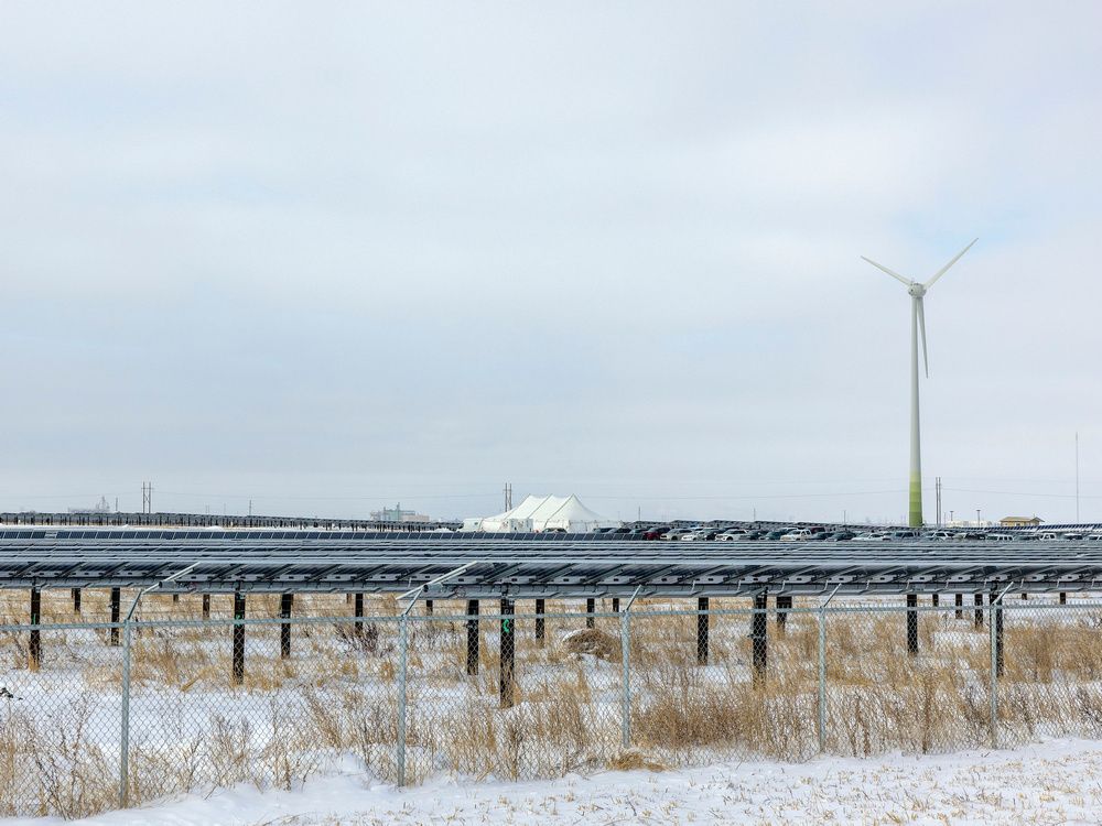 Awasis solar project to provide power for 2,500 homes | Regina Leader Post