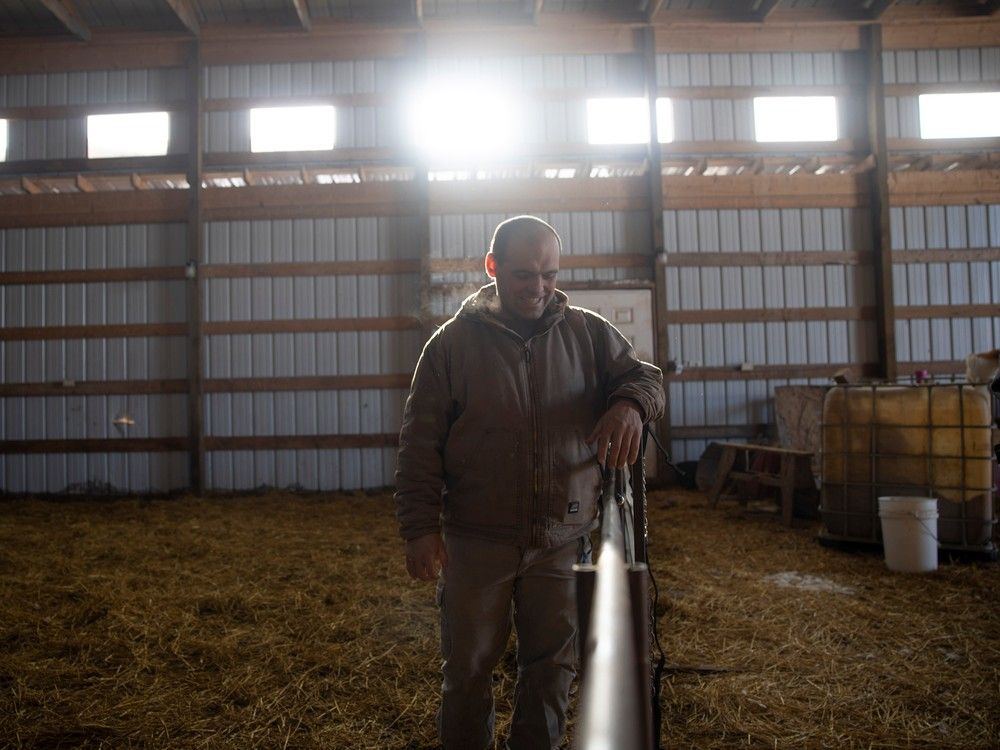 Sask. professor turned farmer finds sweet life on the Prairies | Regina ...
