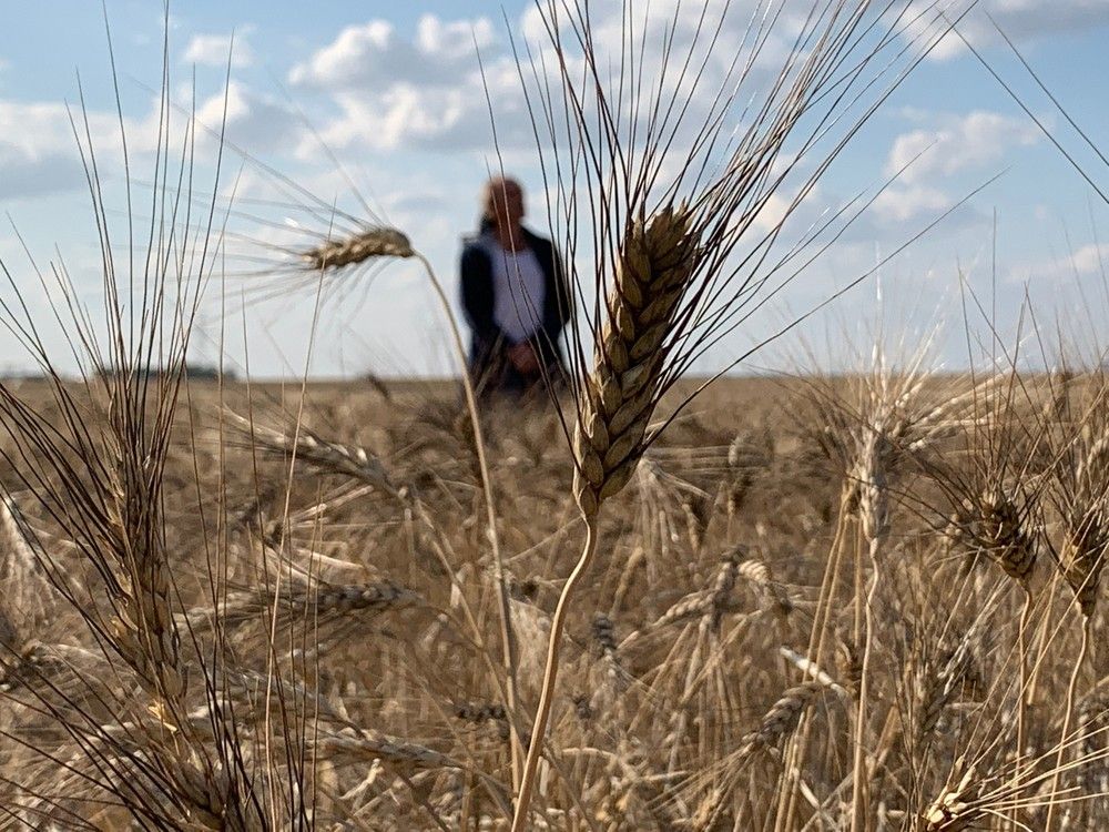 Success in short films inspires big-picture goals for Lynette Piper ...