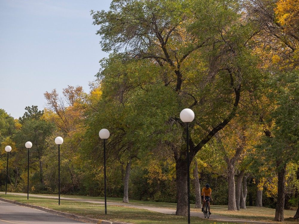 Regina weather: A little blip in an otherwise warm, sunny week | Regina ...