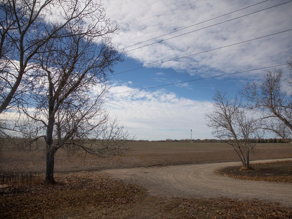 Regina weather: | Regina Leader Post