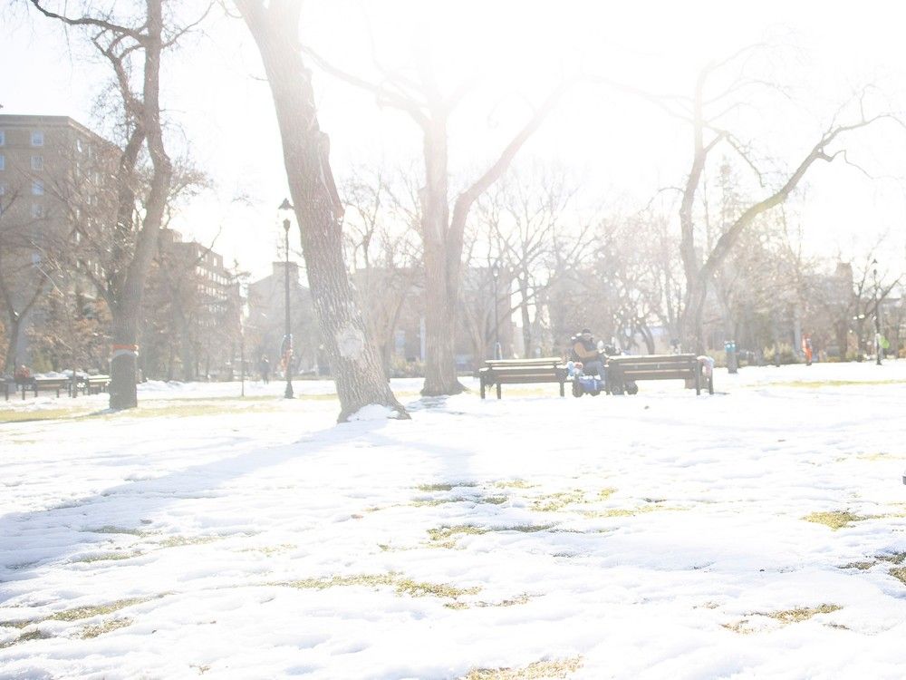 Regina weather: Windy, sunny and warmer than an average November day ...