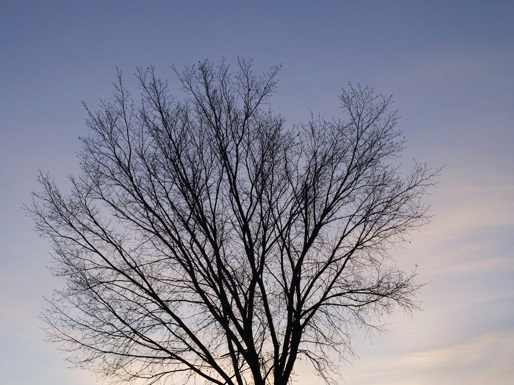 Regina weather: A windy, warm and sunny start to February | Regina ...