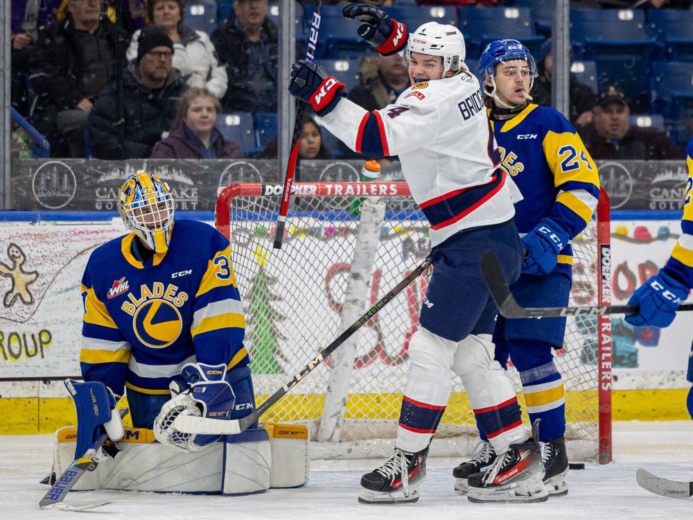 'I think it just fuelled me': Local product Kolten Bridgeman finding ...