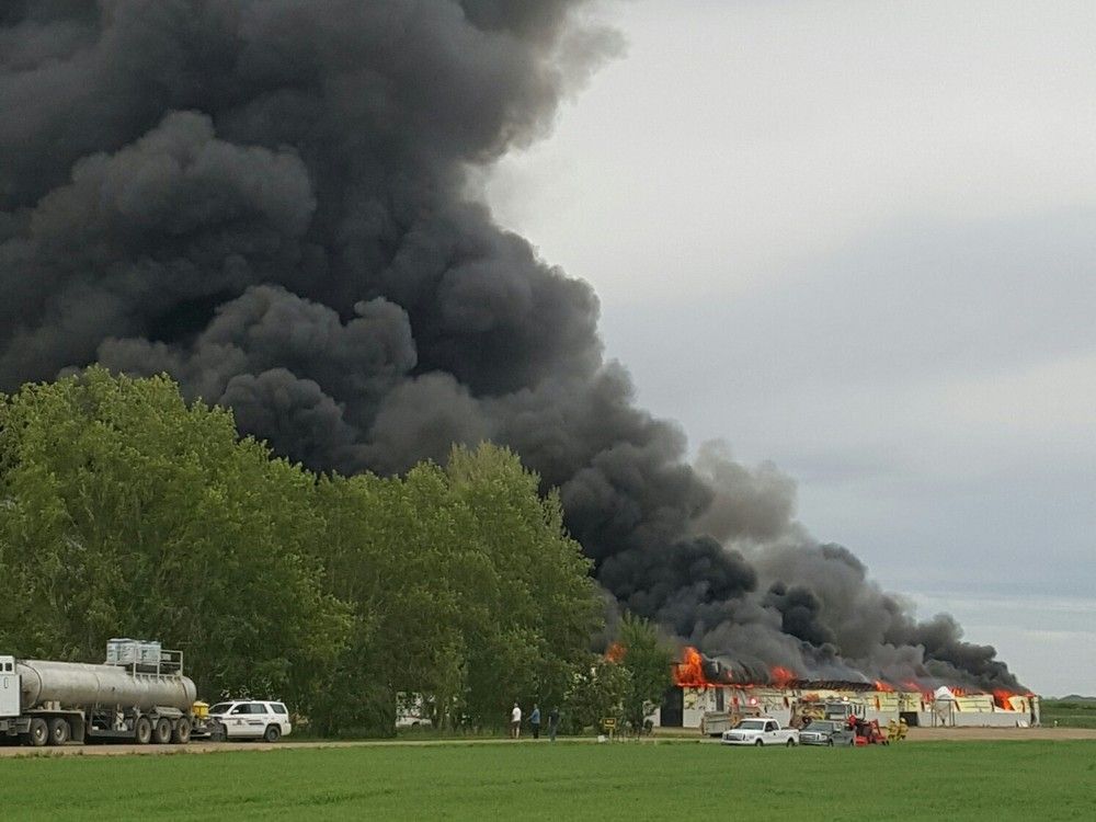Sask. fire marshal talks safety after thousands of pigs lost in fire ...