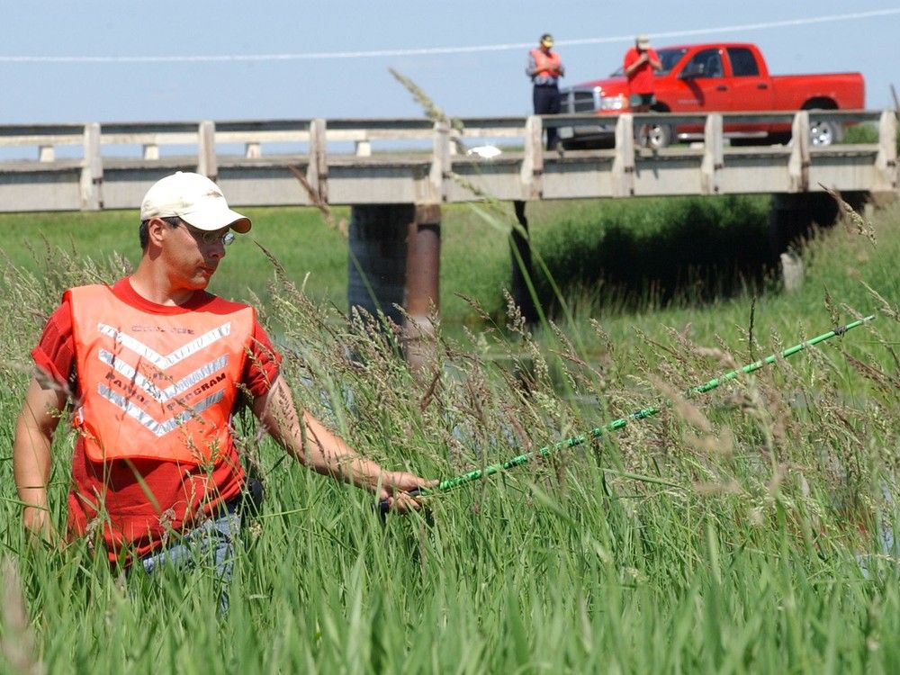 Two decades after 5-year-old Tamra Keepness disappeared, hope remains ...