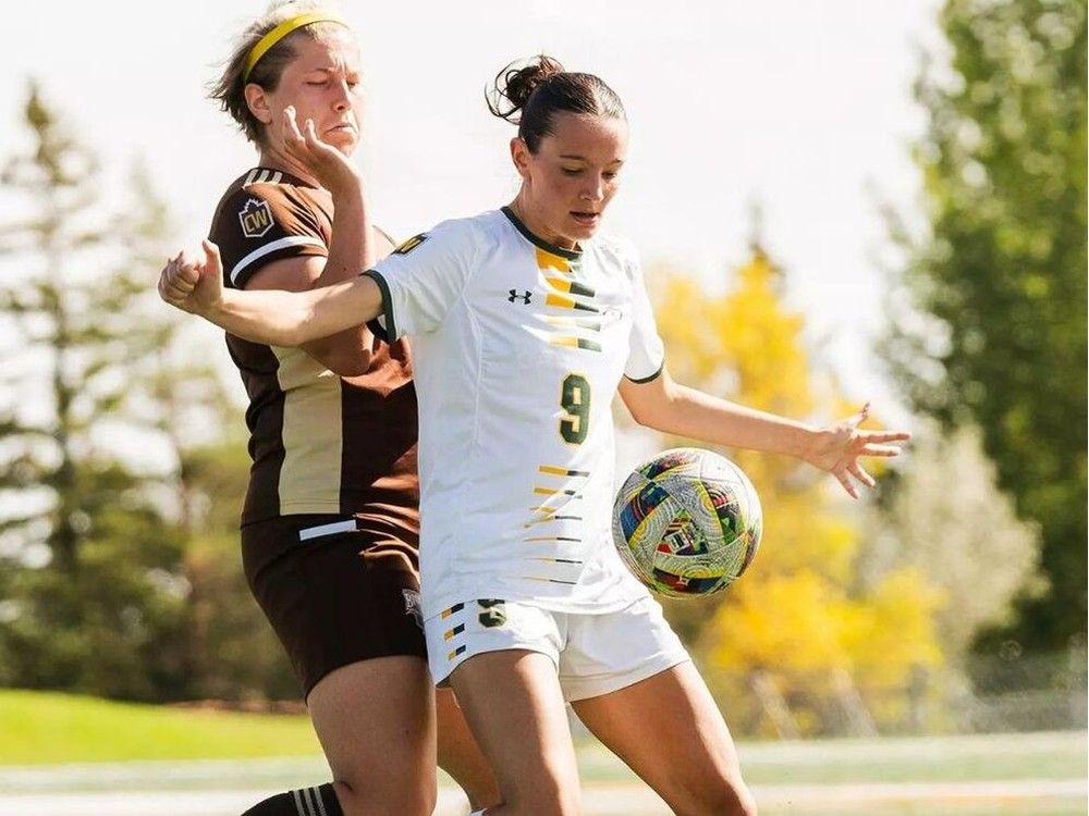 Local roundup: High school football, U of R Cougars and more | Regina ...