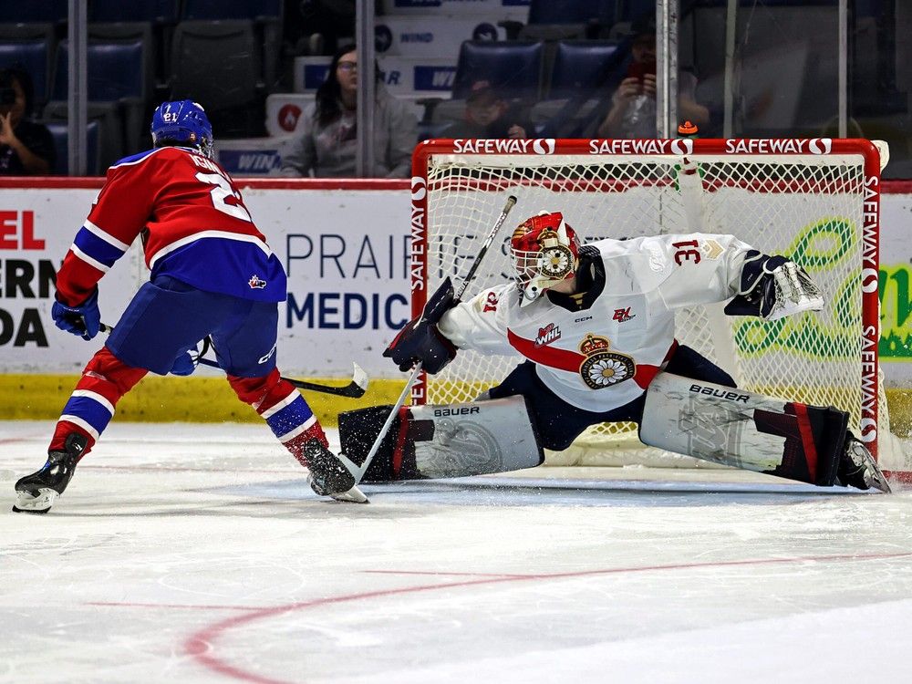 Local roundup: Regina Pats, Thunder, U of R and more | Regina Leader Post