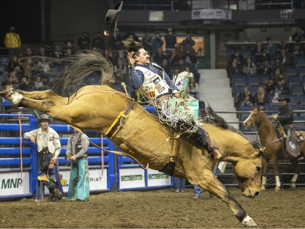 Five things to do this weekend in Regina (Nov. 29-Dec. 1) | Regina ...