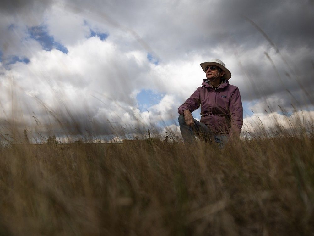 Nature Regina enthused over new grasslands reserve designated by city ...