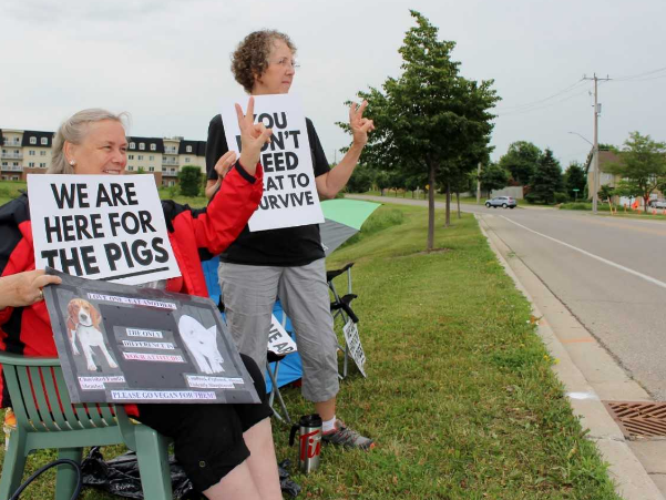 'Celebration of pork' protested by local vegan activists | London Free ...