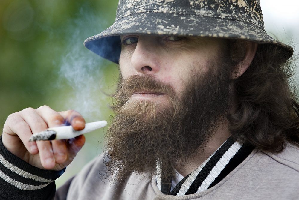 Western study examines brain science behind cannabis highs, bad trips ...