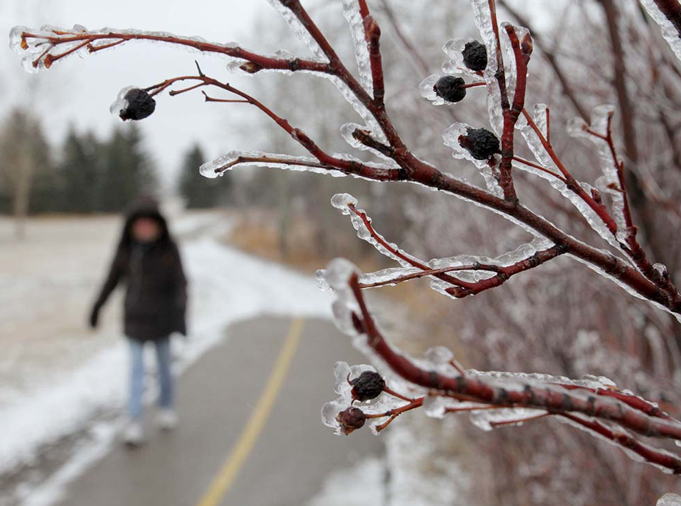 Freezing drizzle prompts Environment Canada advisory | London Free Press