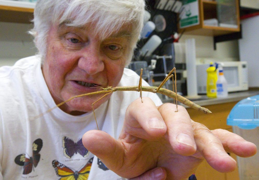 Roller coaster temperatures concern for insect health, experts say ...