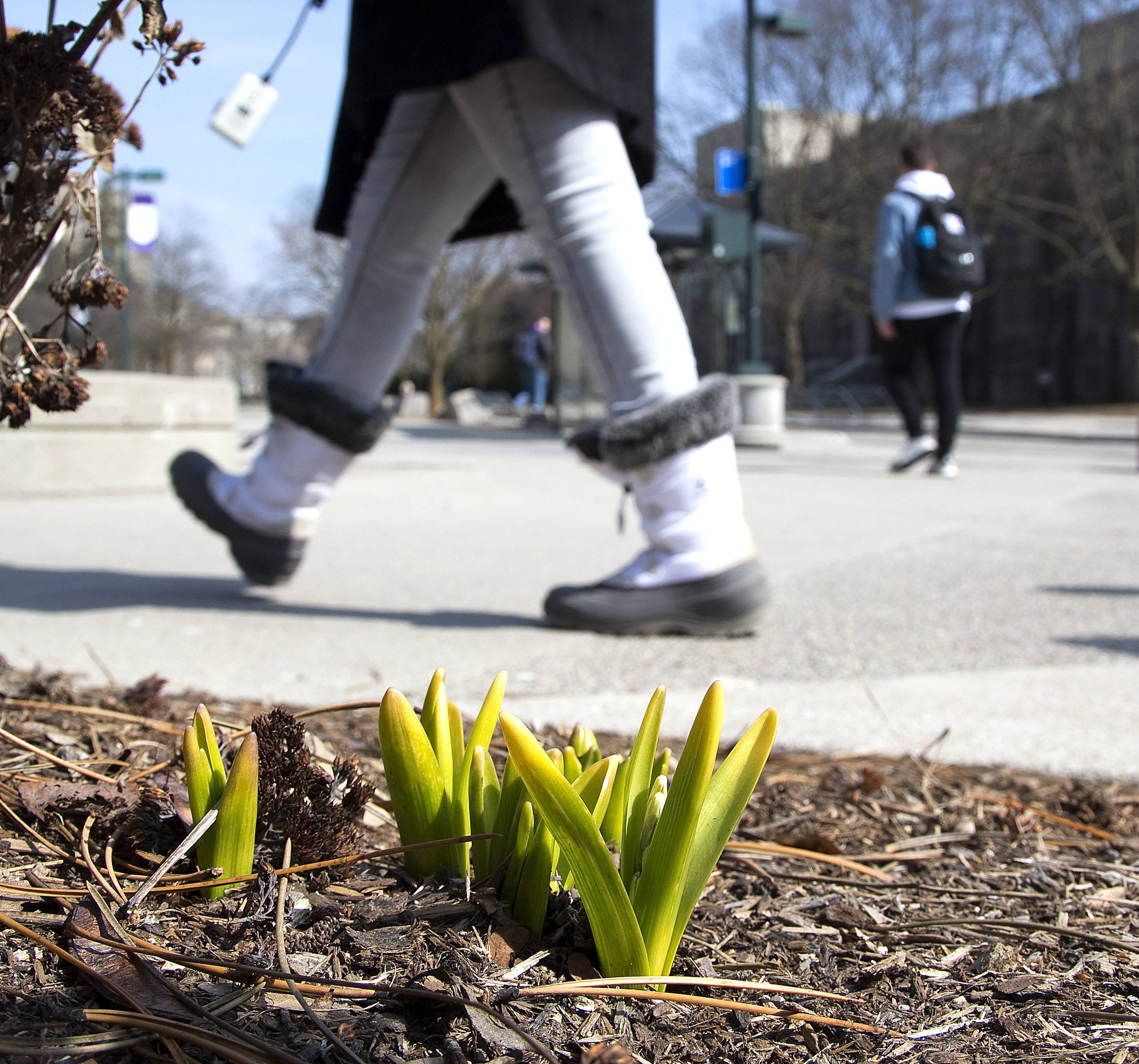 Old Man Winter's revenge! Sub-zero weather, flurries may return ...