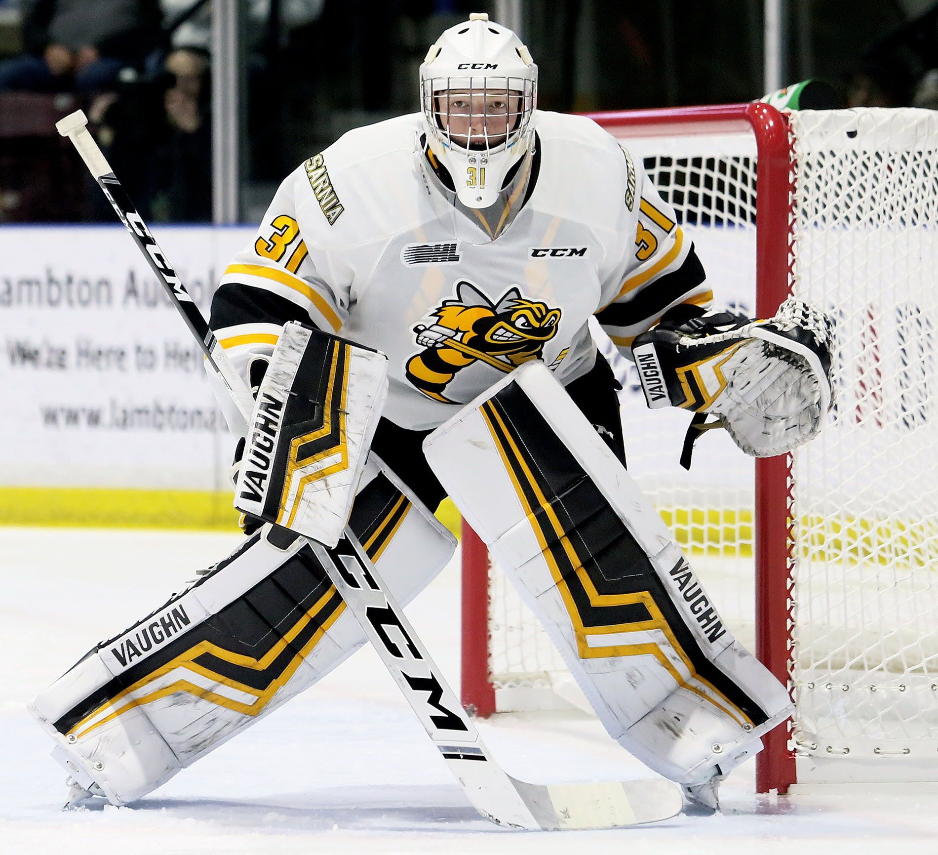 Hatcher, Perreault each score two in Sting's win over Firebirds ...