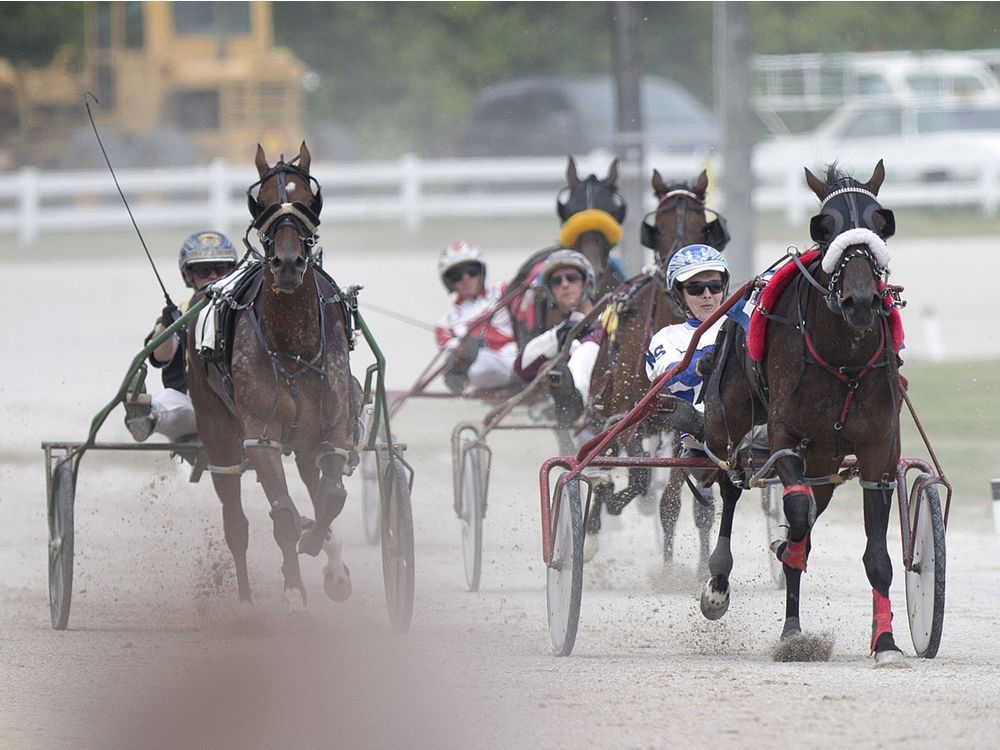 Harness racers face off in Toys for Tots fundraiser at Western Fair ...
