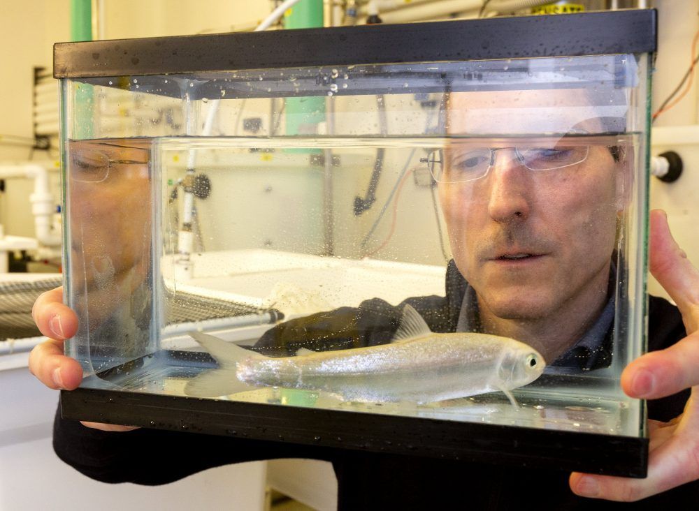 Genome project aims for better grip on health of Canada's freshwater ...