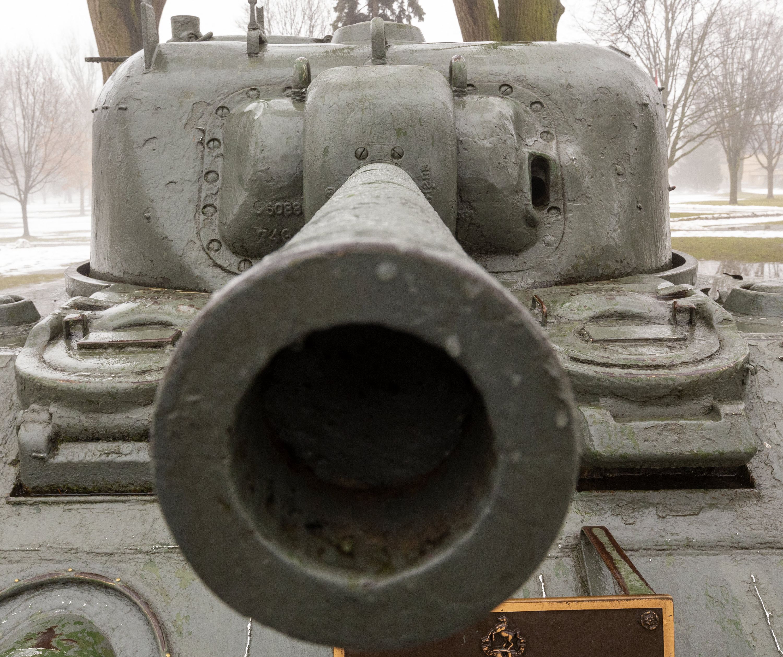 PHOTOS: The Holy Roller tank in London's Victoria Park | London Free Press