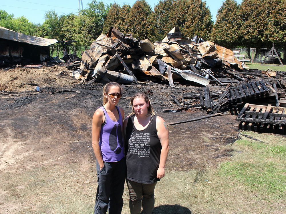 Animals killed in fire at local animal rescue operation | London Free Press