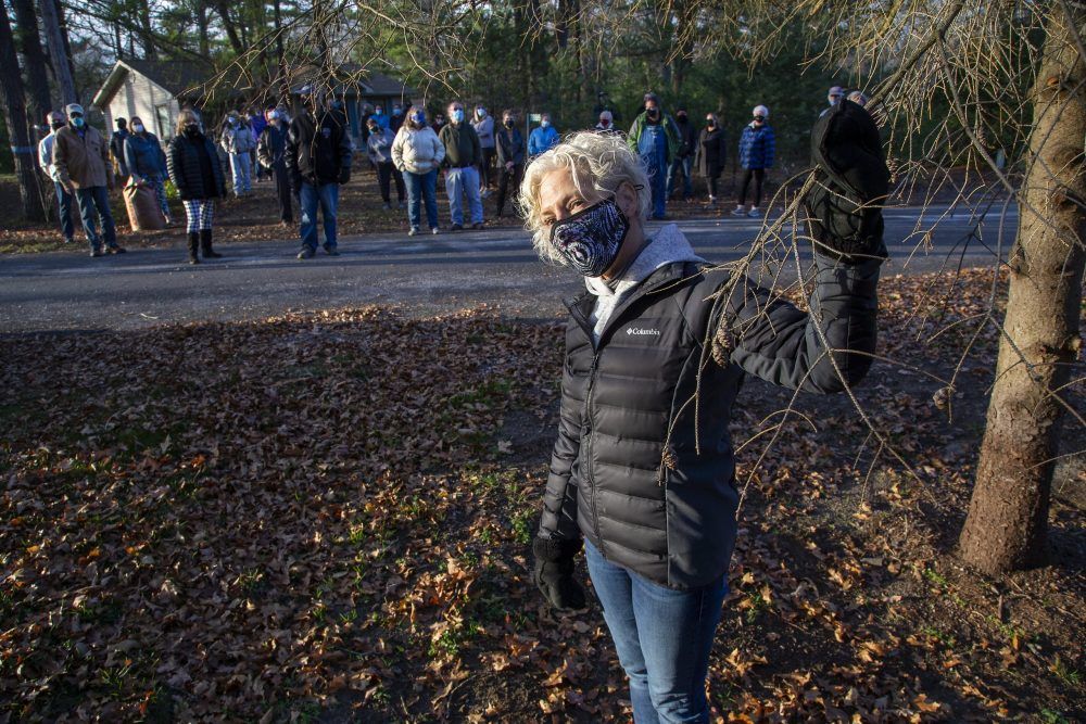 Lambton Shores residents, council square off over gypsy moth action ...