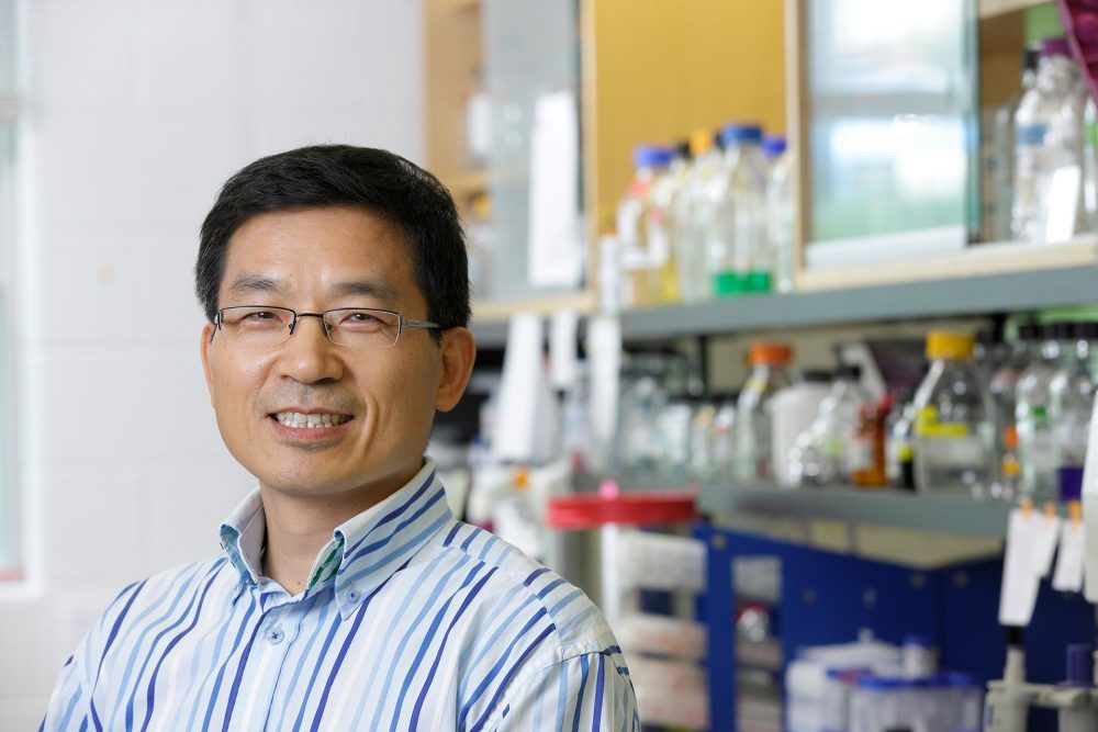 Western researchers develop more accurate COVID-19 antibody test ...