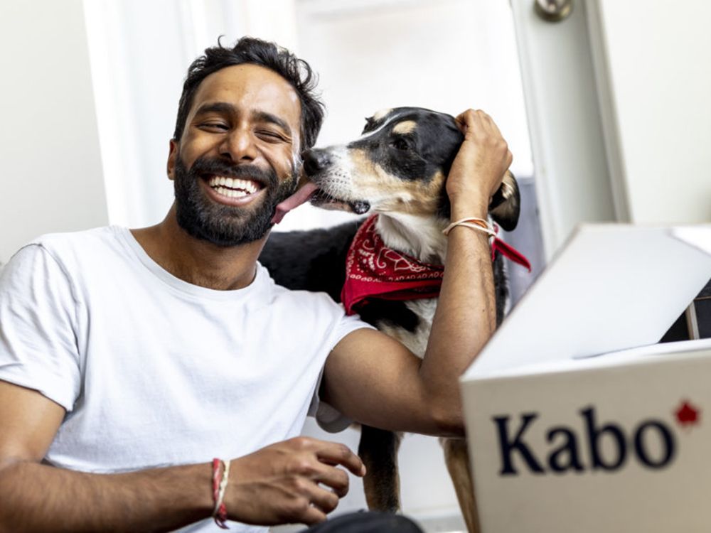 How Fanshawe Students Helped Kabo Become Top Dog in a Digital Landscape ...