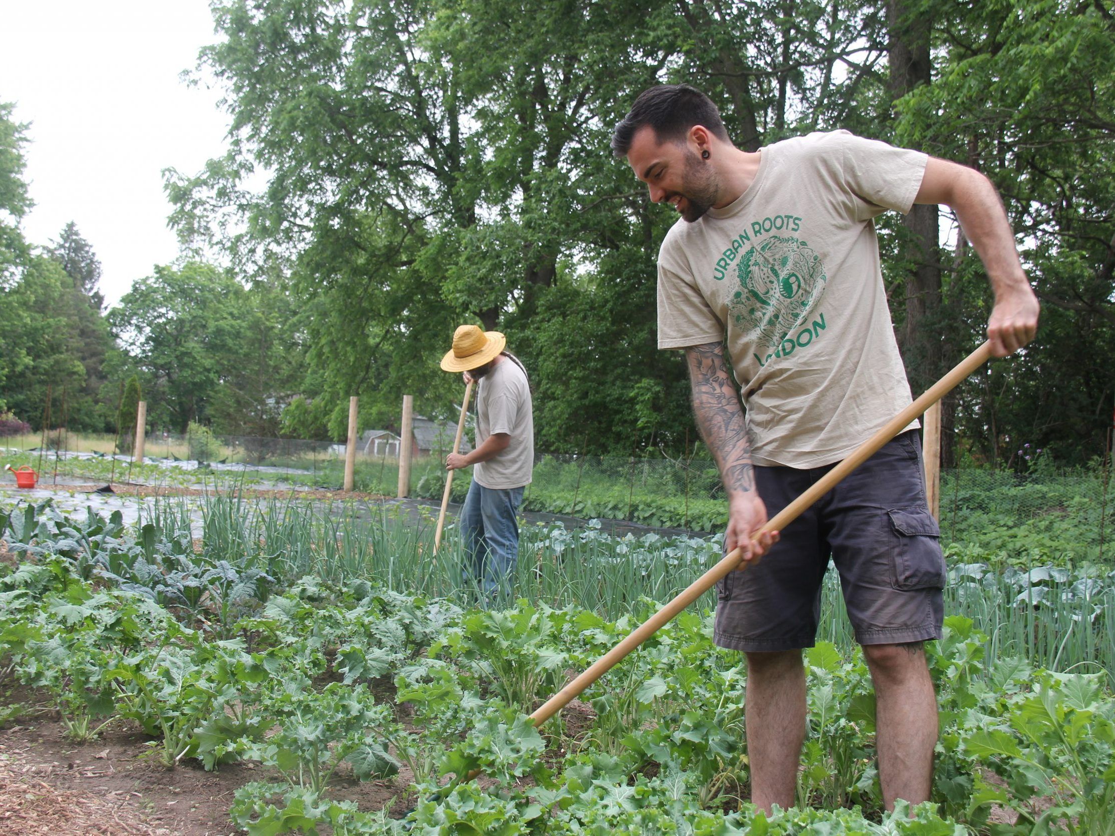 Vacant lots, empty land, city parks – London's future of urban farming ...