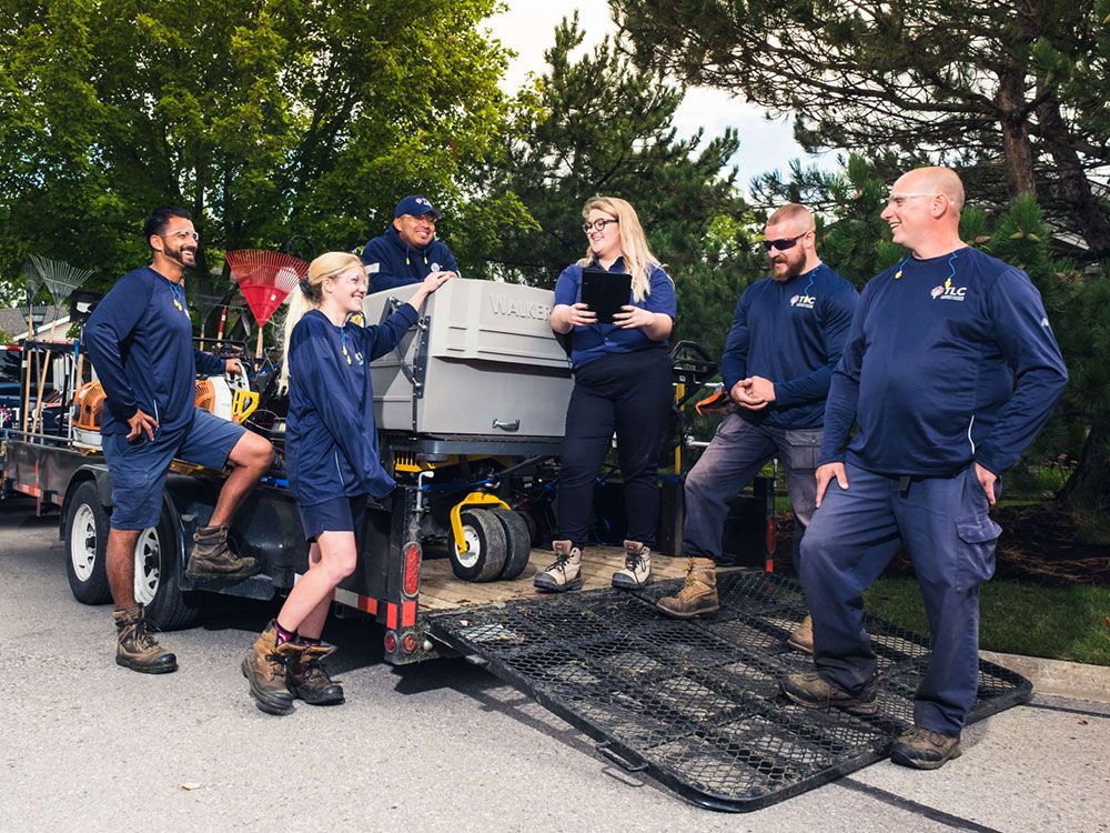 A career in landscaping can be a rewarding choice | London Free Press