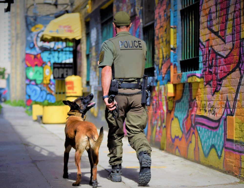 London police K9 calendar marks canine unit's 50th anniversary | London ...