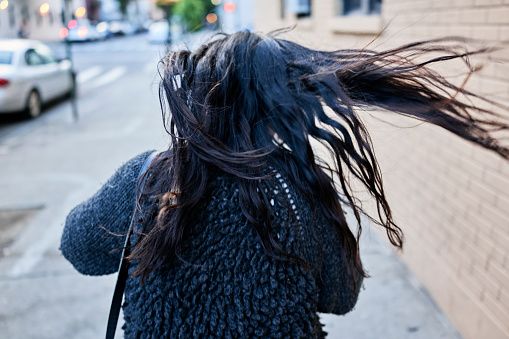 Wind-whipped weather looms for London region: Environment Canada ...