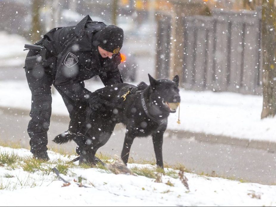 PHOTOS: How to train your police dog | London Free Press