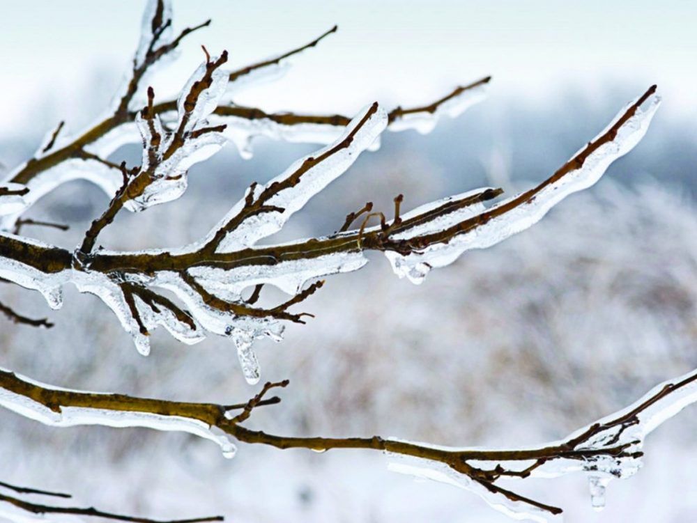 More freezing rain, gusting winds, loom in London region | London Free ...